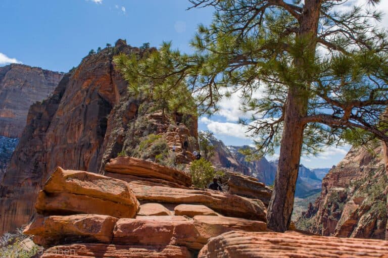 Visiting Zion National Park in March – what to expect – American ...
