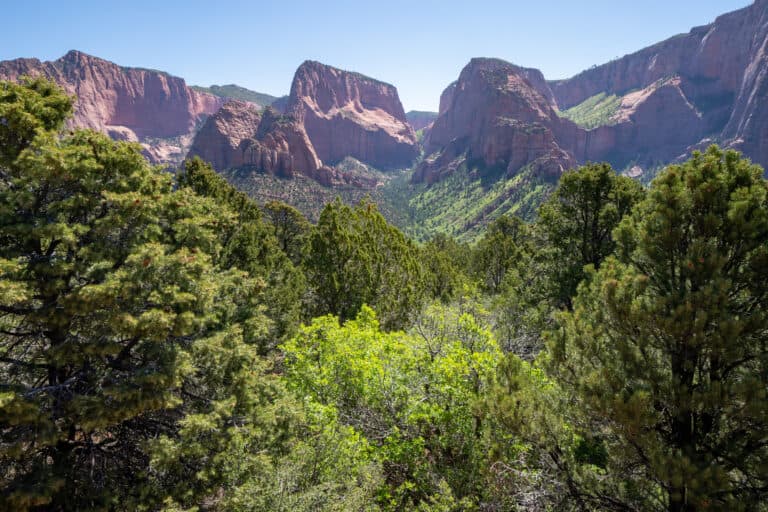 Visiting Zion National Park in March – what to expect – American ...