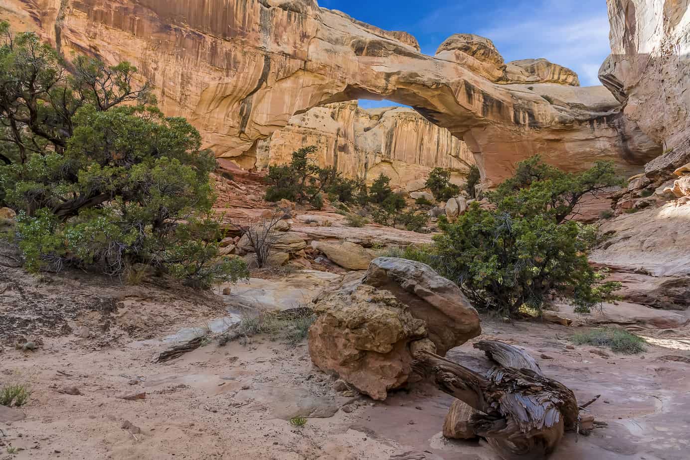 How to Spend One Day in Capitol Reef National Park, Utah – American ...