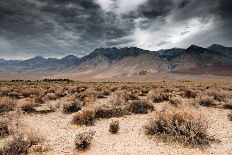 Beautiful National Parks in Nevada and National Monuments – American ...