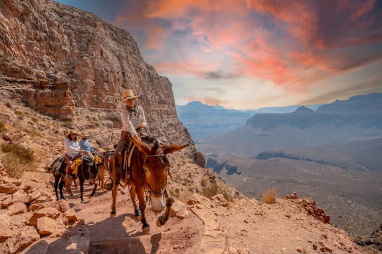 15 Tips for Visiting the Grand Canyon in December – 2024 Ultimate Guide ...